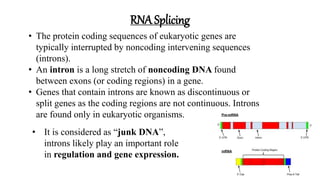 Post transcriptional modifications | PPTX
