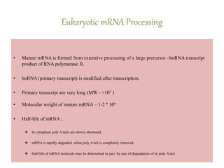 Post transcriptional processing | PPTX