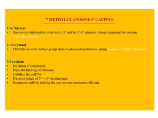 Post transcriptional processing | PPTX