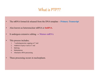 Post transcriptional processing | PPTX