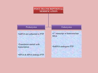 Post transcriptional processing | PPTX