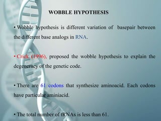 Post transcription and wobble hypothesis | PPTX