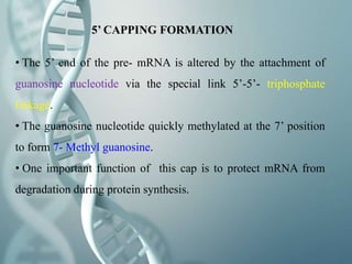 Post transcription and wobble hypothesis | PPTX
