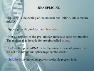Post transcription and wobble hypothesis | PPTX
