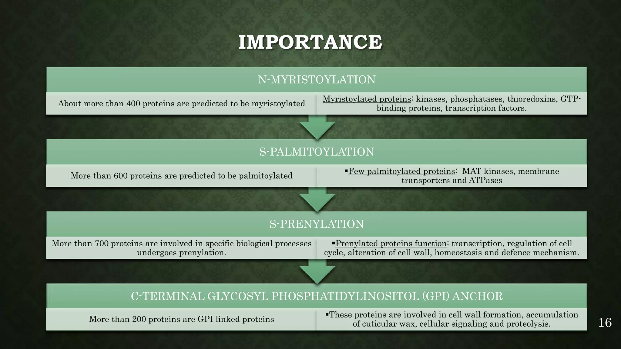 Post translational modification in plants. | PPTX