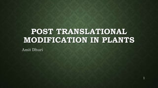 Post translational modification in plants. | PPTX