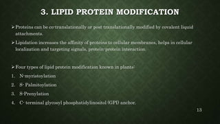 Post translational modification in plants. | PPTX
