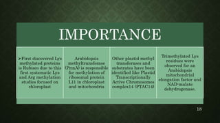 Post translational modification in plants. | PPTX