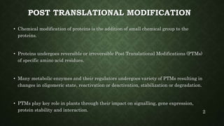 Post translational modification in plants. | PPTX
