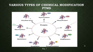 Post translational modification in plants. | PPTX