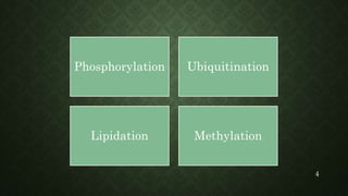 Post translational modification in plants. | PPTX