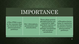 Post translational modification in plants. | PPTX | Chemistry | Science