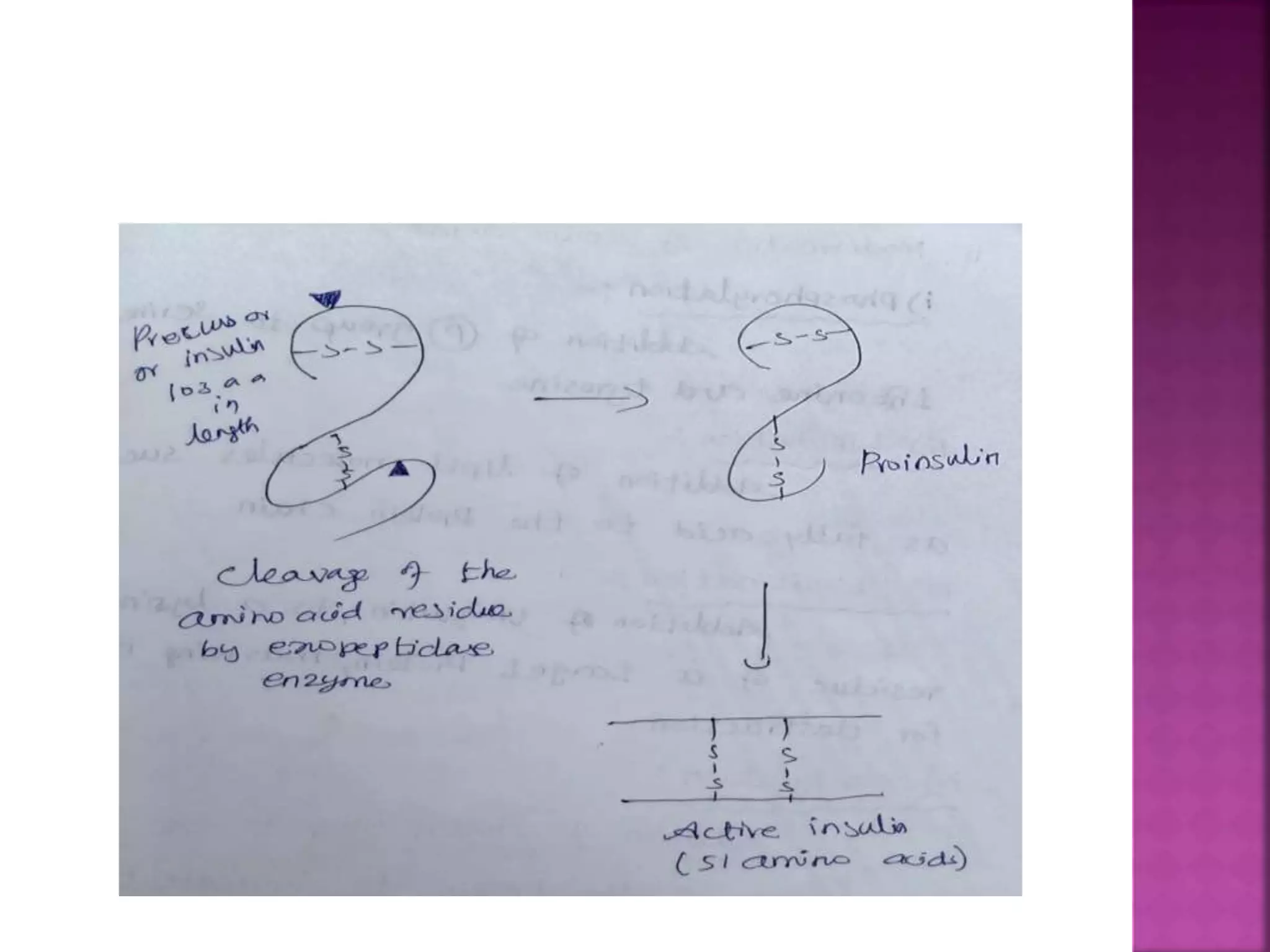 Post translational modification/PTM/protein modifications | PPTX
