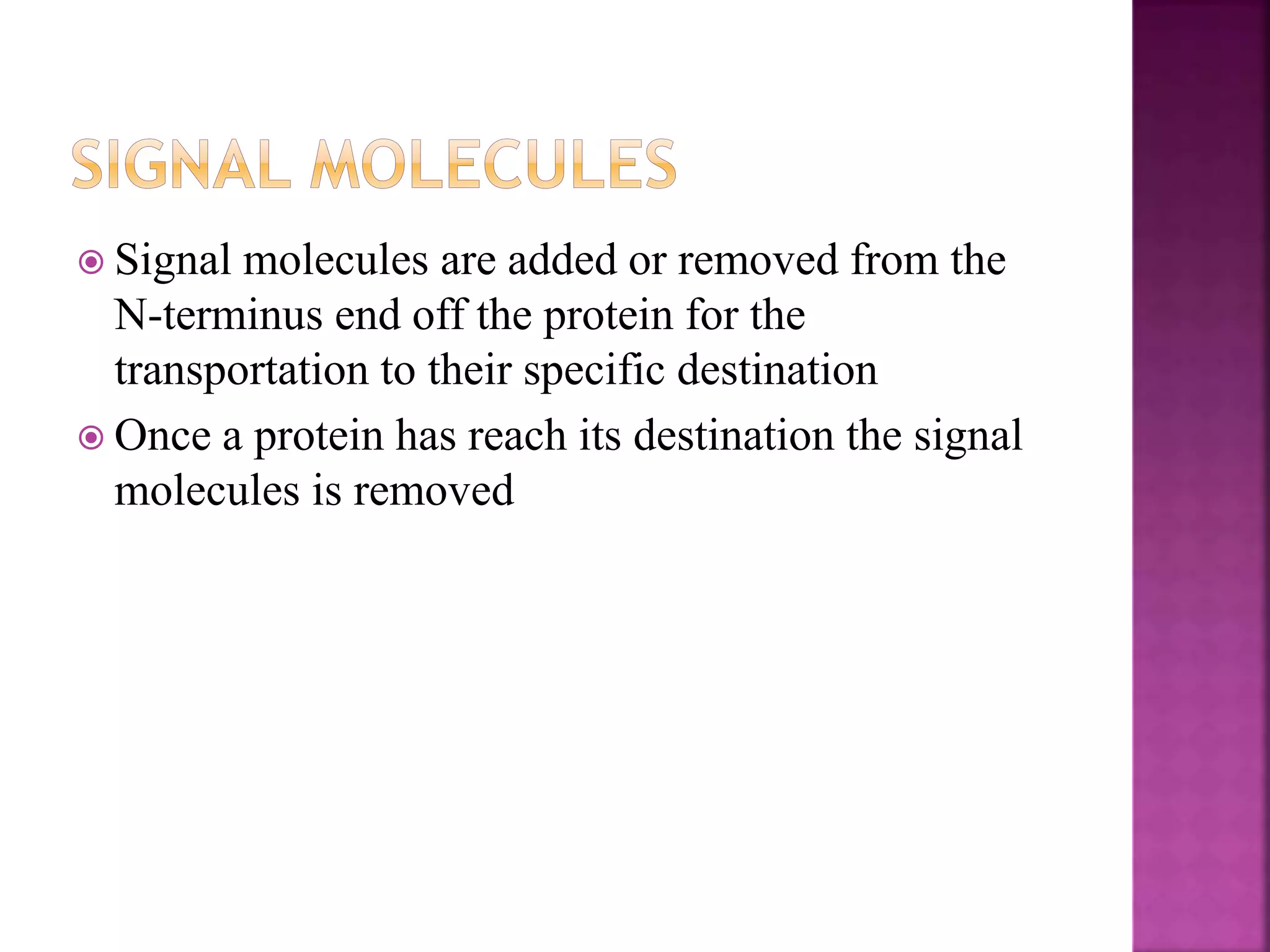 Post translational modification/PTM/protein modifications | PPTX