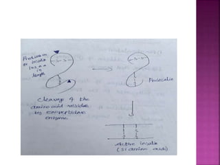 Post translational modification/PTM/protein modifications | PPTX