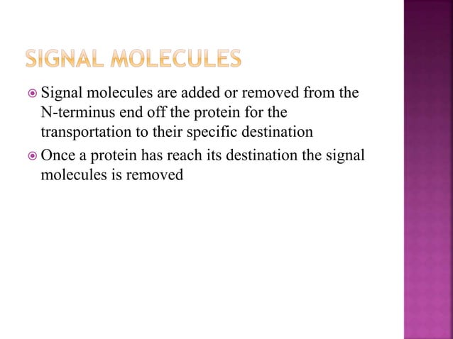 Post translational modification/PTM/protein modifications | PPT Post translational modification/PTM/protein modifications | PPT