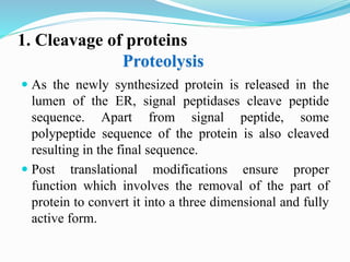 POST TRANSLATIONAL MODIFICATION.pptx