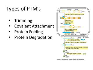 post translational modification.pptx