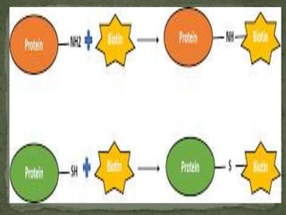 Post translational modification of protien | PPTX