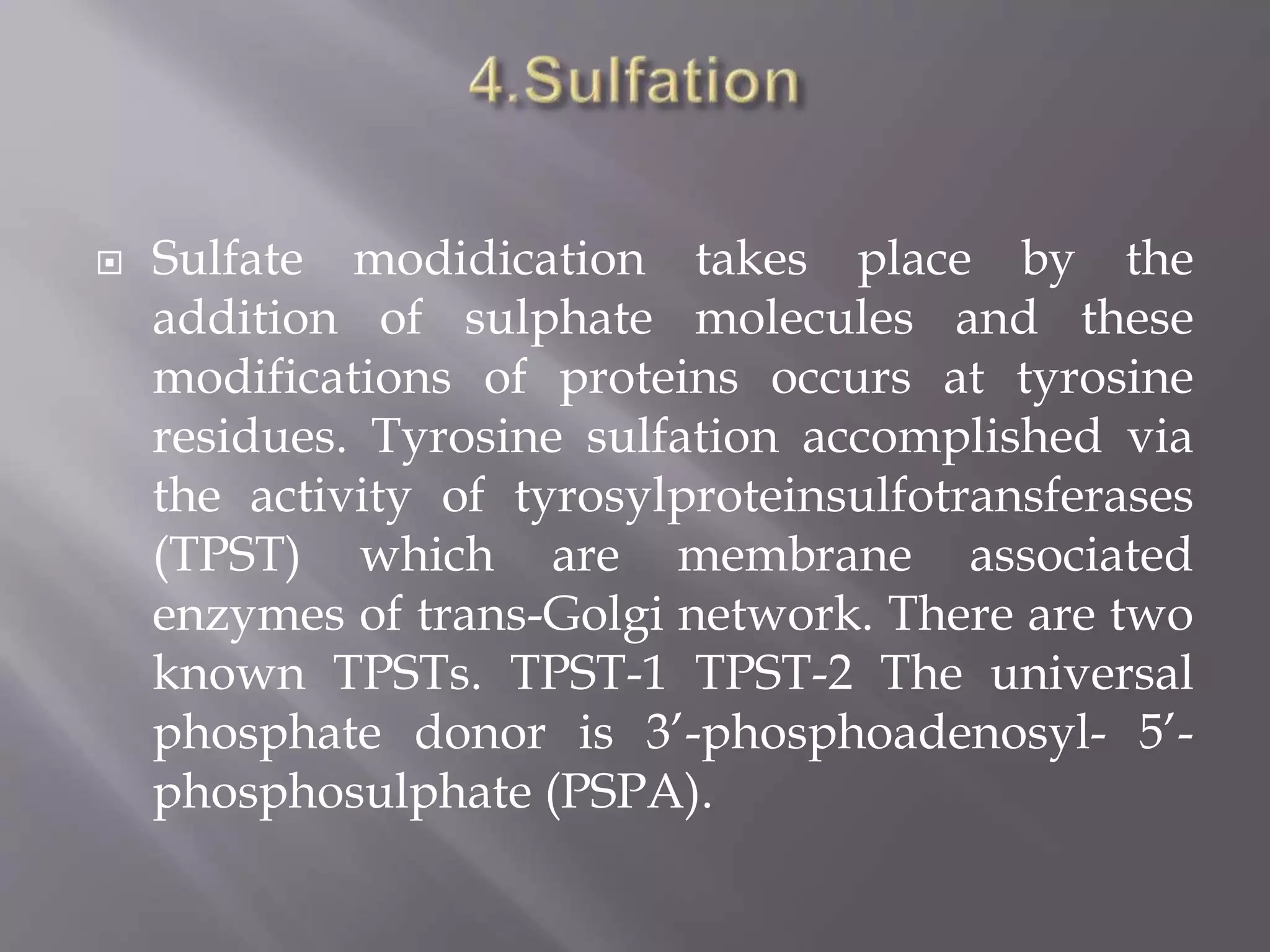 POST TRANSLATIONAL MODIFICATIONS.pptx