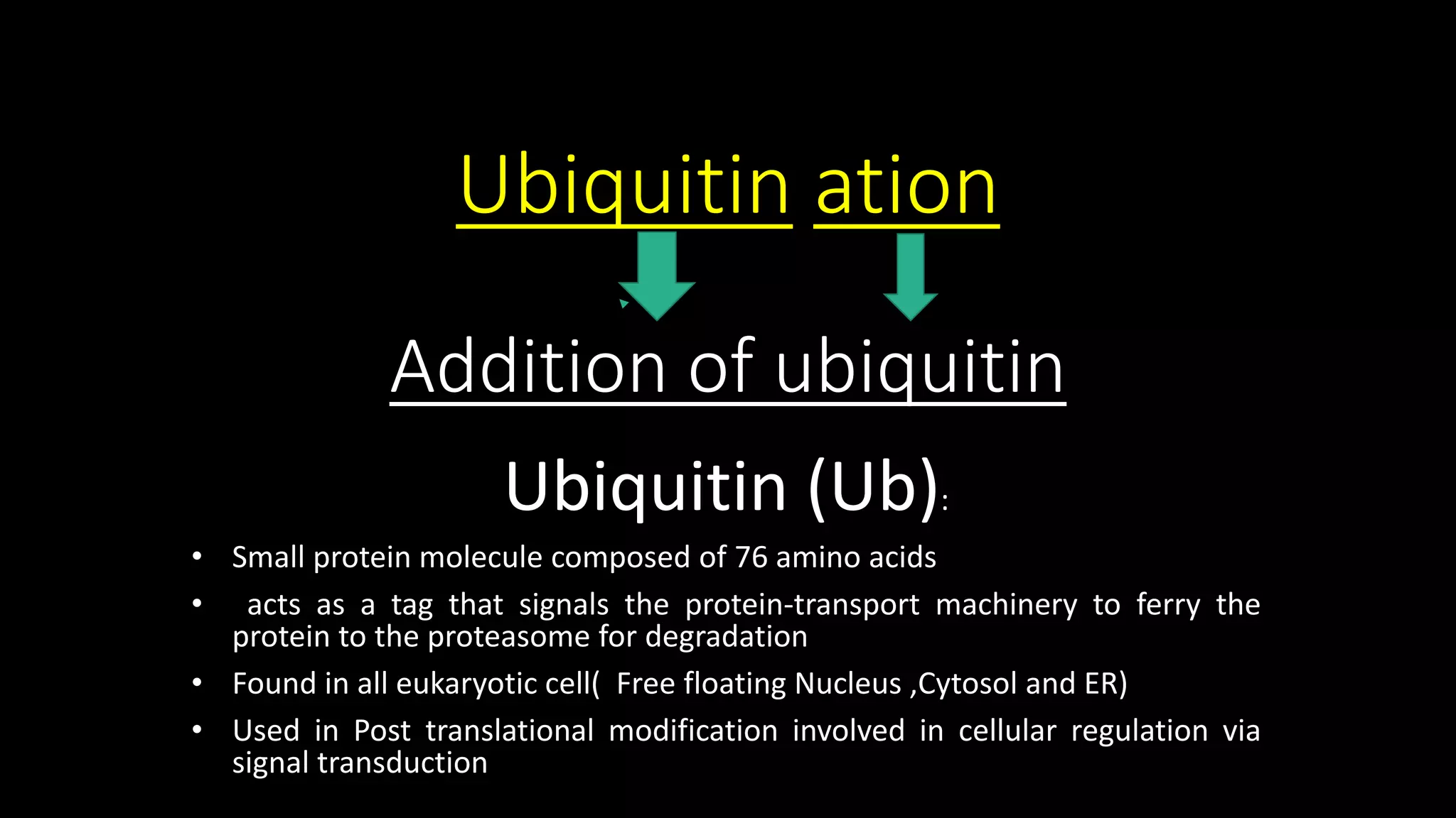 Post translational modification (ubiquitination) | PPTX