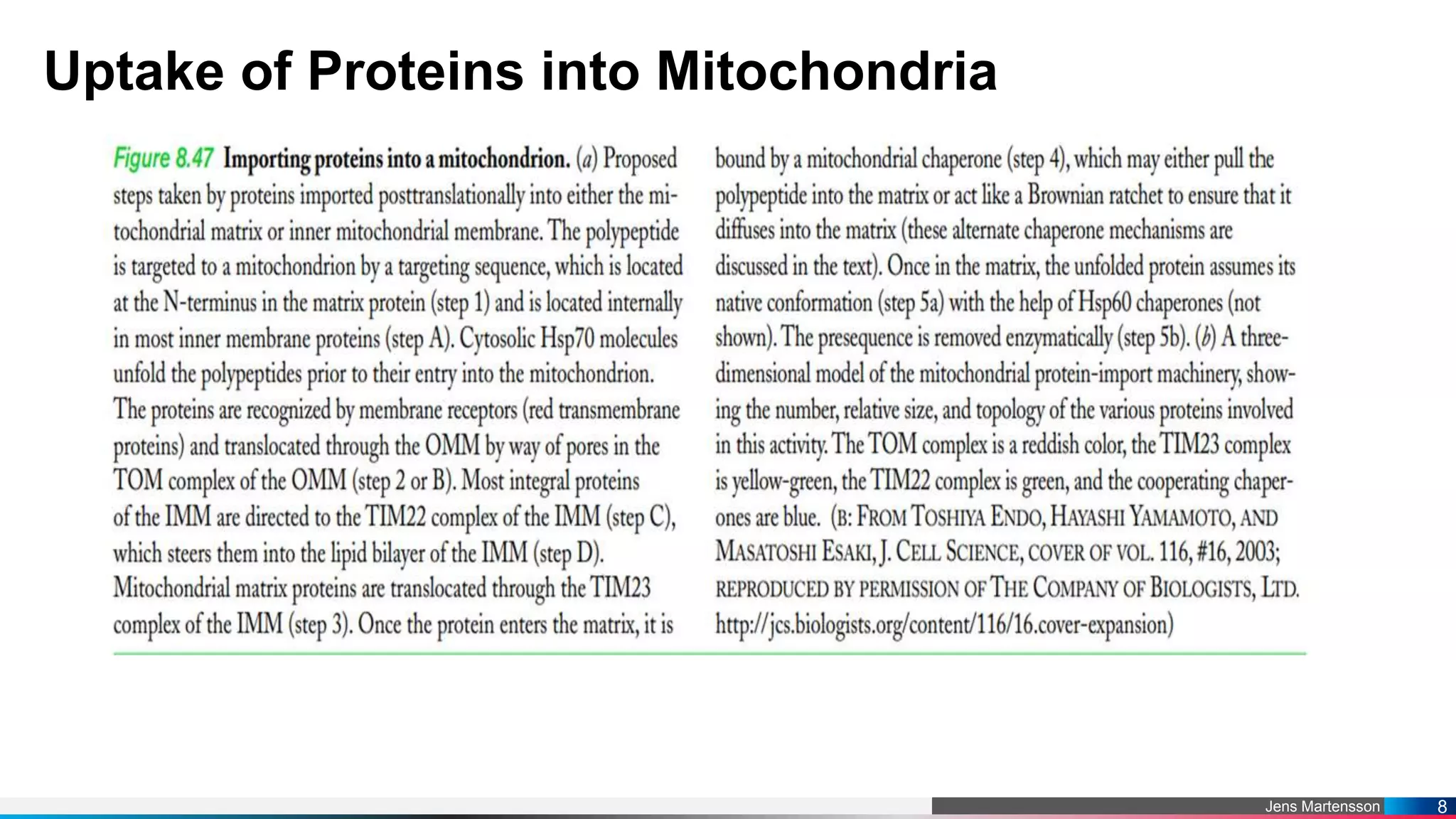 Posttranslational Uptake of Proteins.pptx