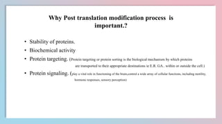 Post translation modification by Suyash Garg | PPTX