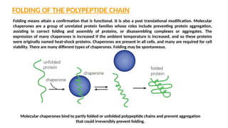 AN OVERVIEW OF POST TRANSLATION MODIFICATION | PPTX