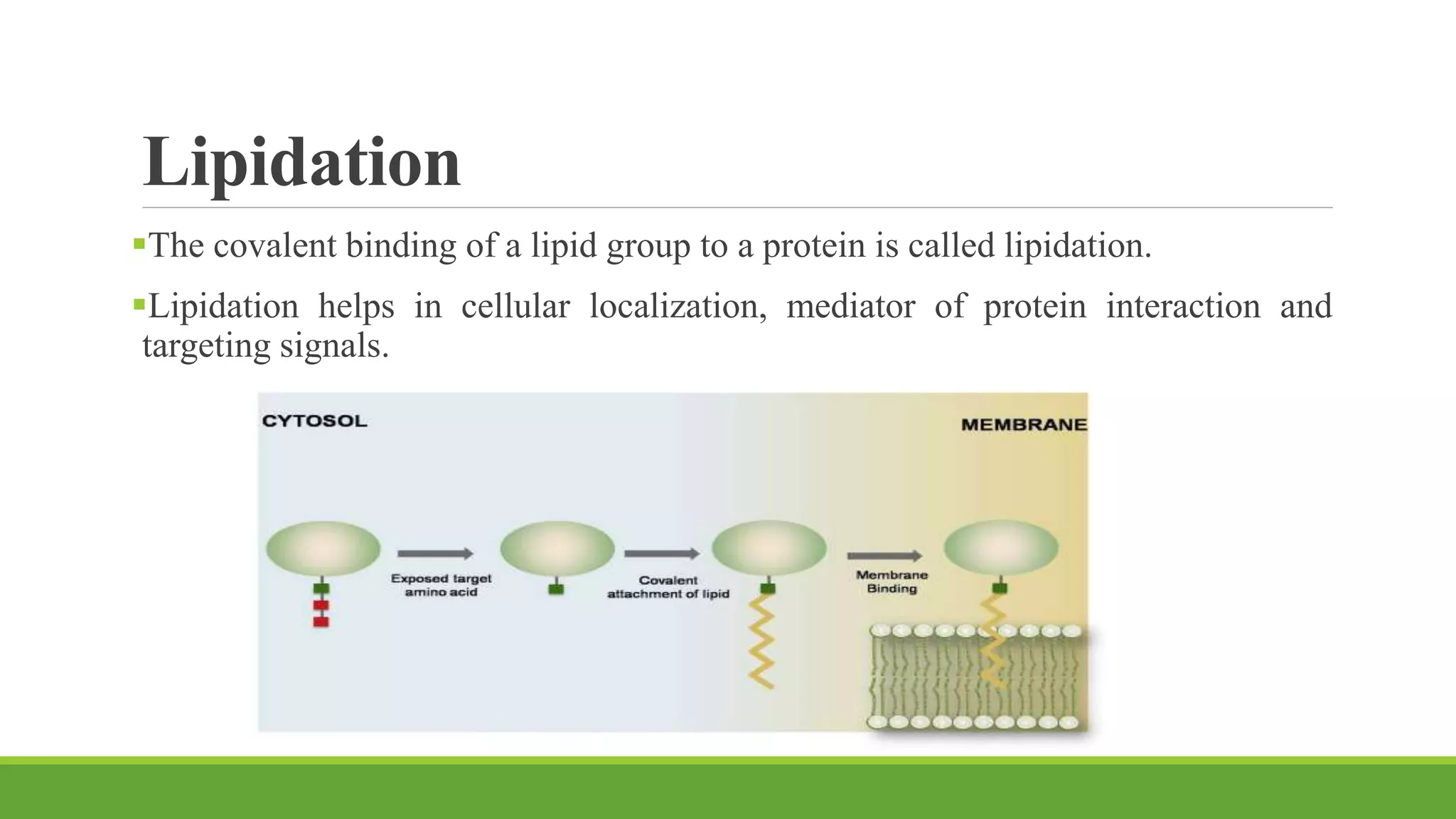 Post translation modification of protein | PPTX