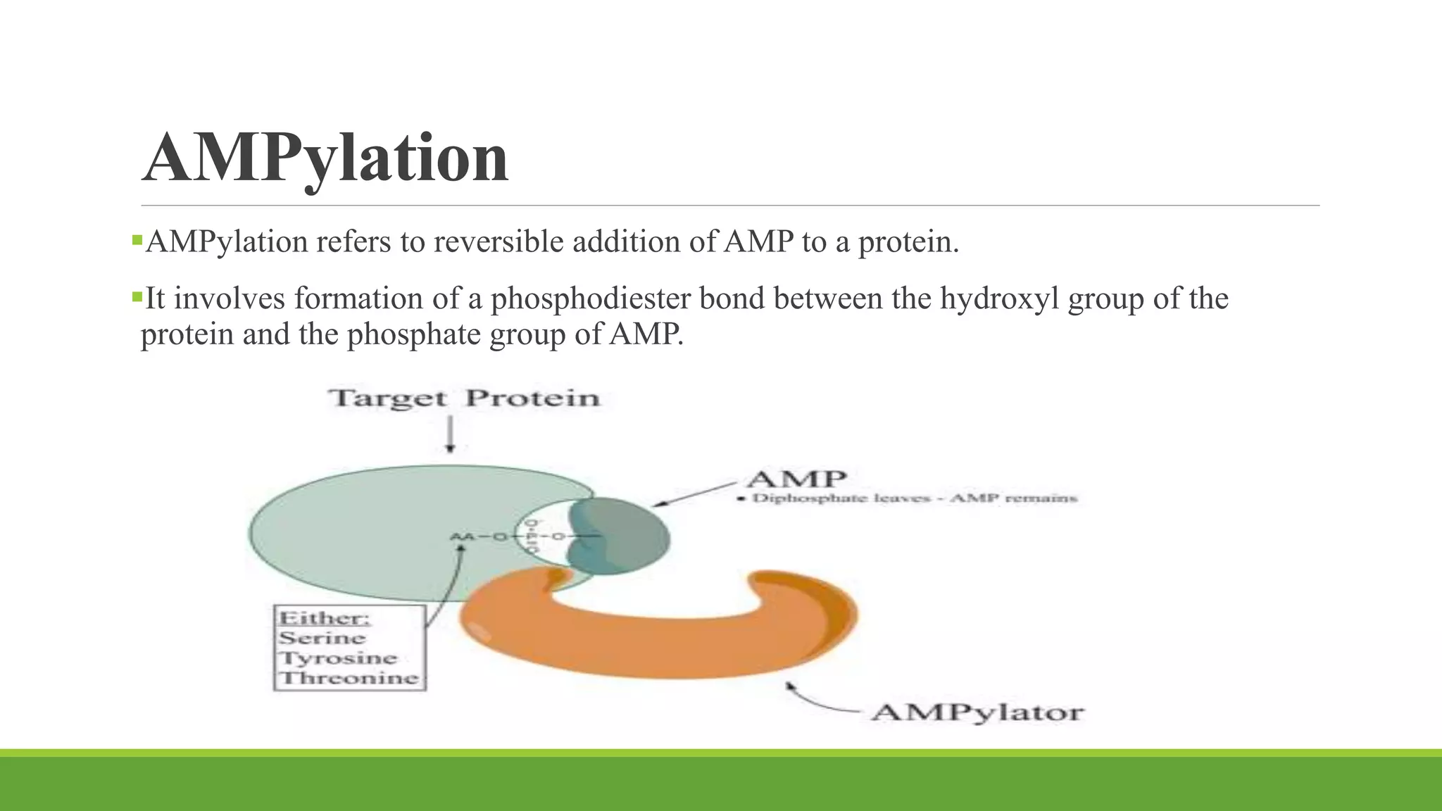 Post translation modification of protein | PPTX
