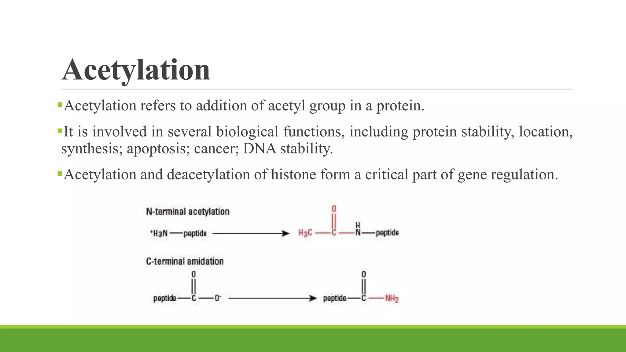 Post translation modification of protein | PPTX