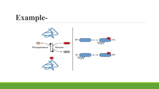Post translation modification of protein | PPTX | Chemistry | Science