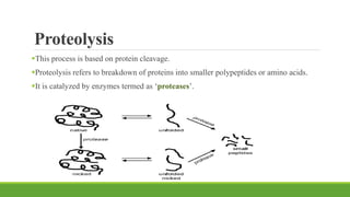 Post translation modification of protein | PPTX