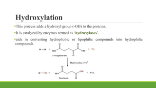 Post translation modification of protein | PPTX