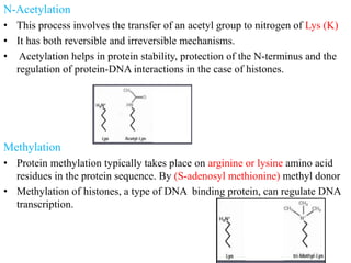 Post translation modifications(molecular biology) | PPTX