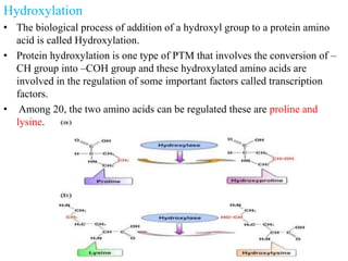Post translation modifications(molecular biology) | PPTX