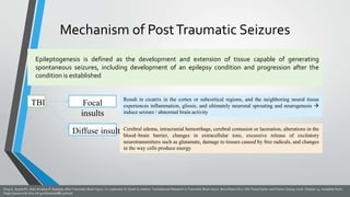 Post Traumatic Seizure - Syah reza manefo.pptx