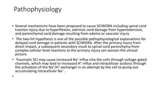 Posttraumatic spinal cord injury without radiographic abnormality | PPTX