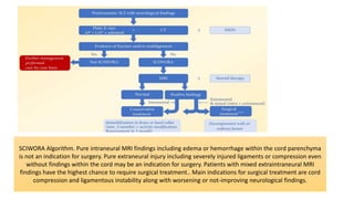 Posttraumatic spinal cord injury without radiographic abnormality | PPTX