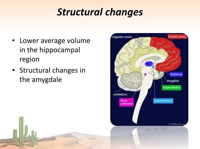 Post traumatic stress disorder-ppt | PPTX