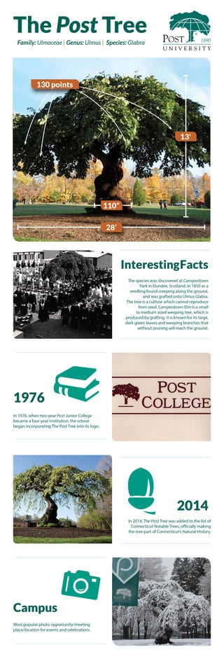 Post Tree Infographic | PDF