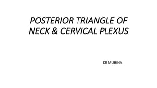 POST TRIANGLE OF NECK.pptx