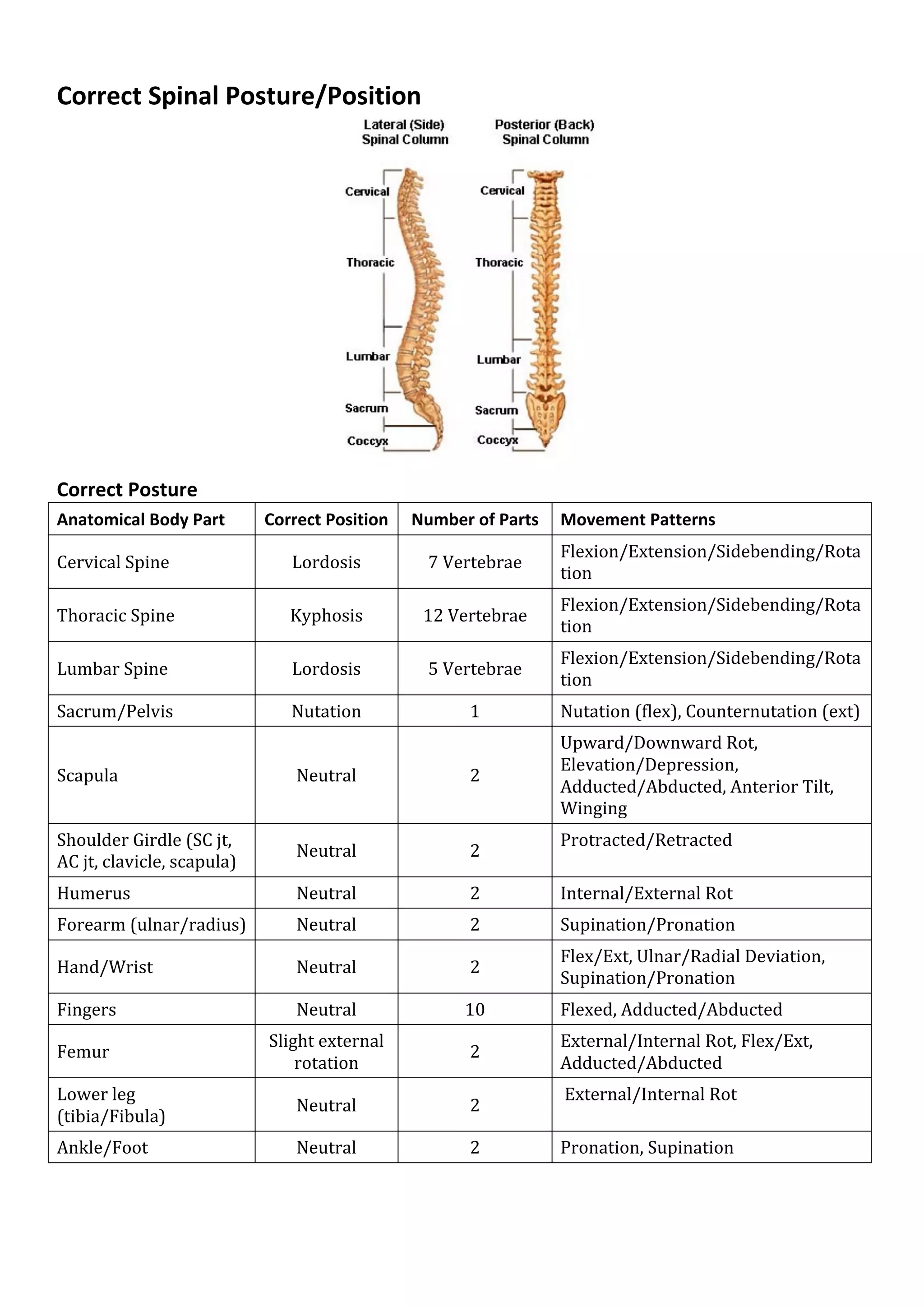 Postural Assessment and Correction Workshop | PDF