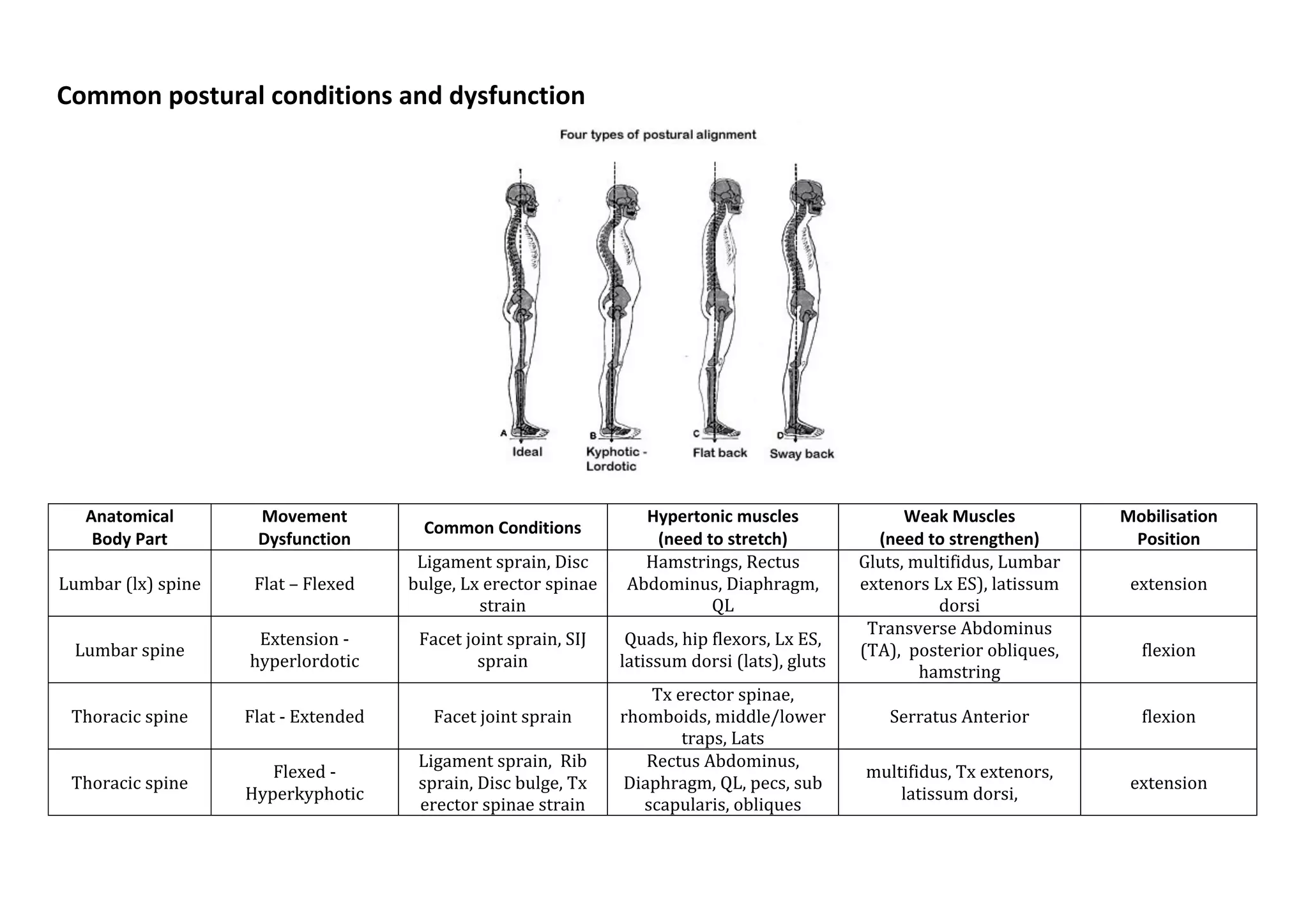 Postural Assessment and Correction Workshop | PDF