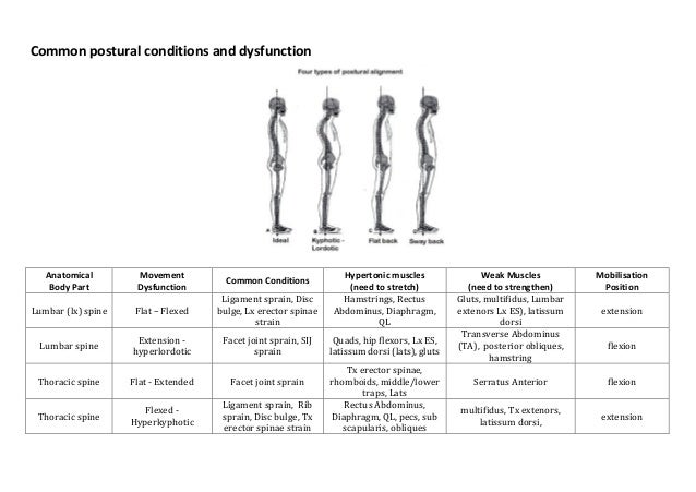 Postural Assessment and Correction Workshop