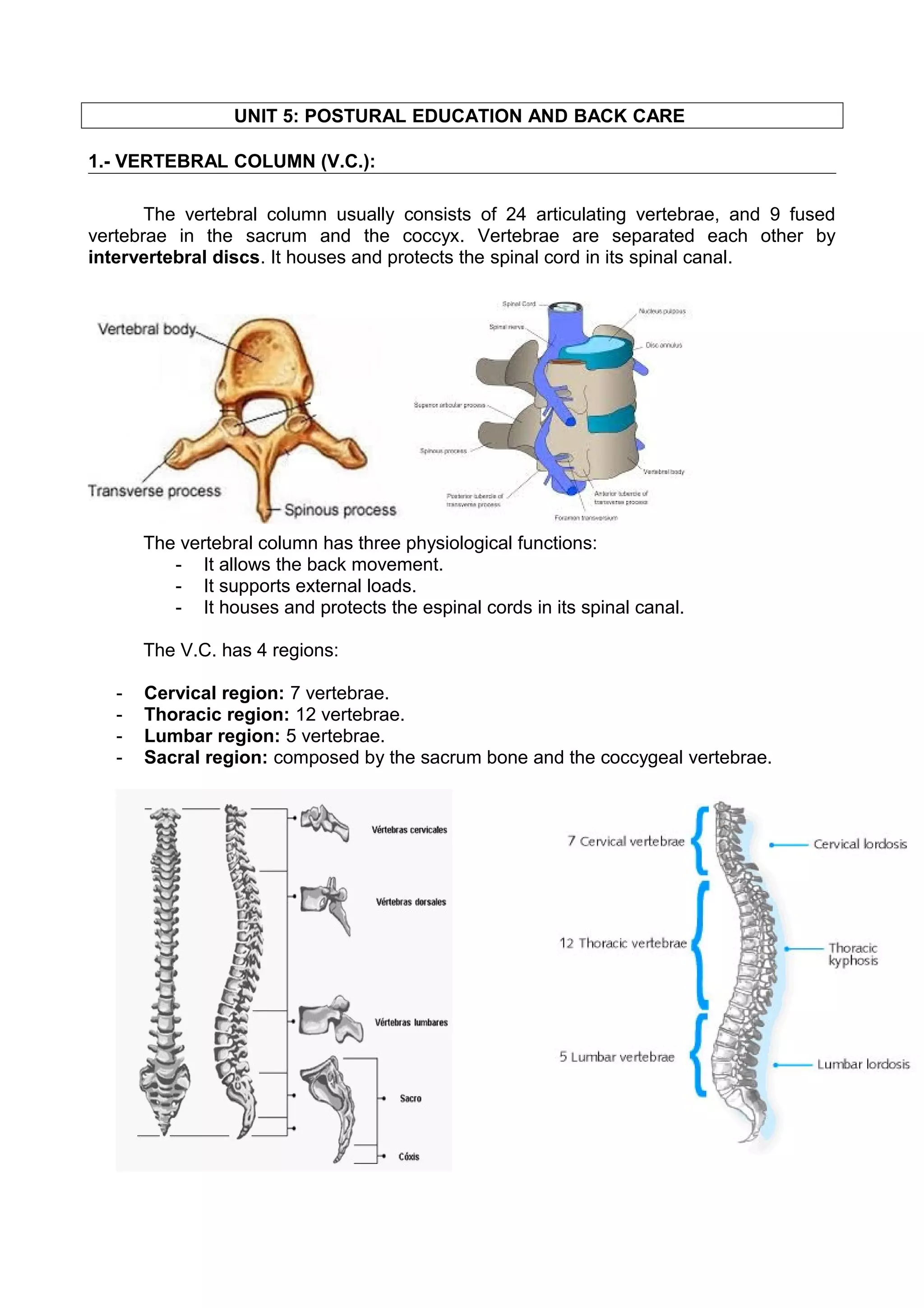Postural education and back care | DOC