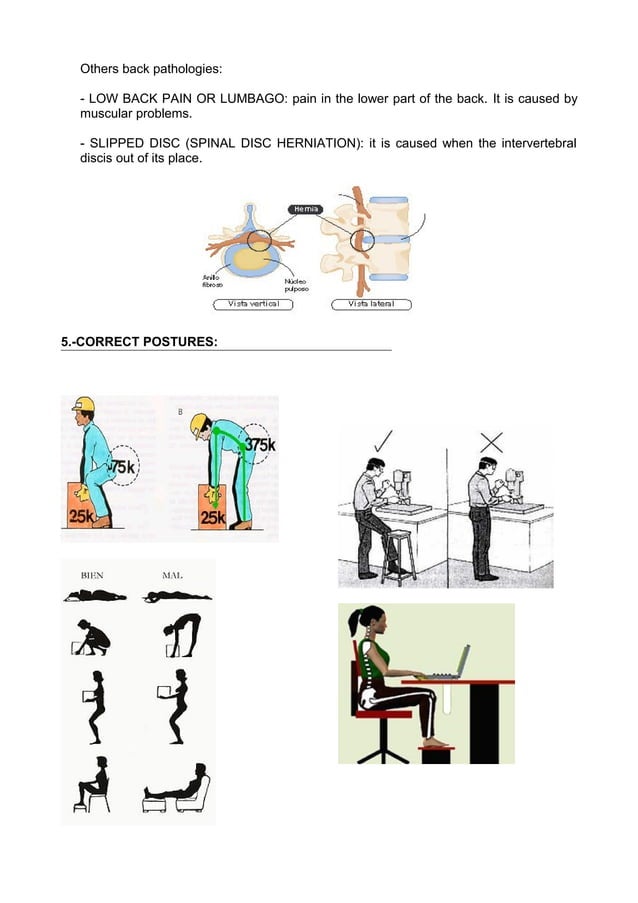 Postural education and back care | DOC