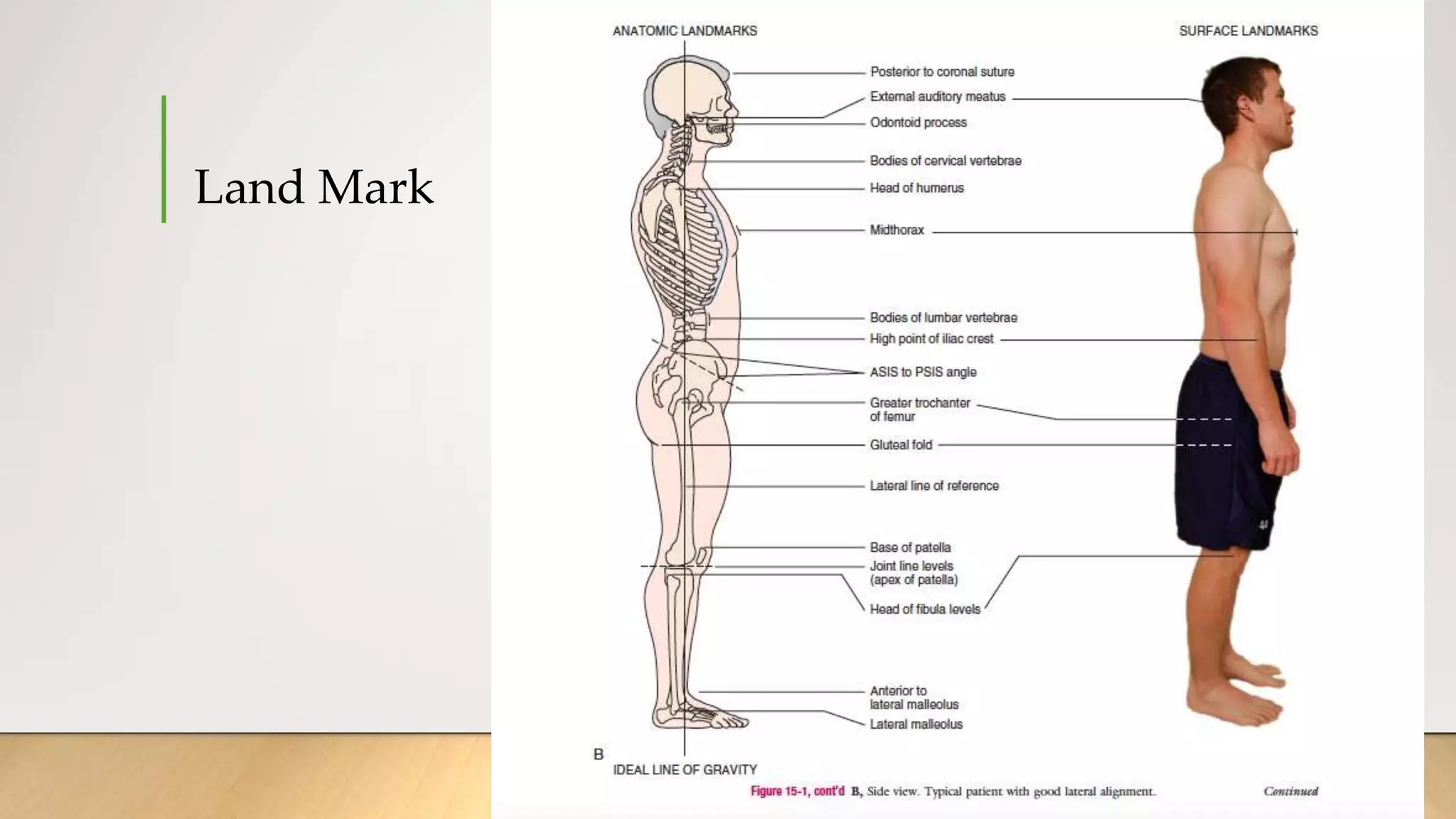 Postural Analysis .ppt