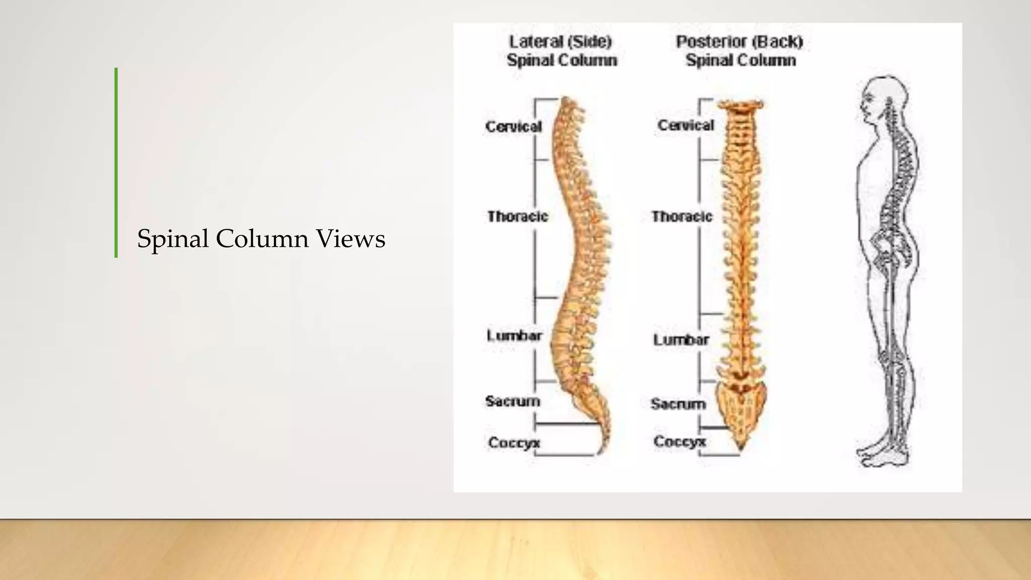 Postural Analysis .ppt