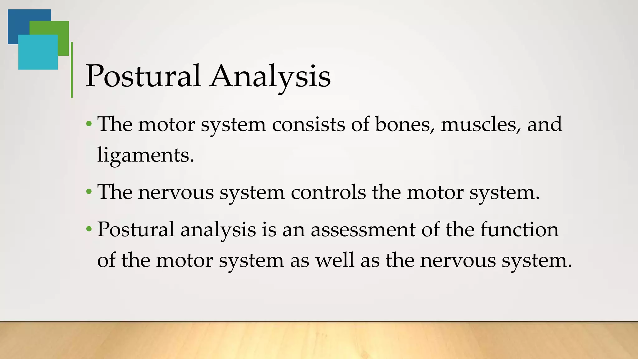 Postural Analysis Ppt